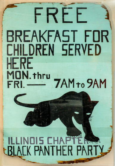 Panther sign X2015-125 | DuSable Black History Museum and Education Center