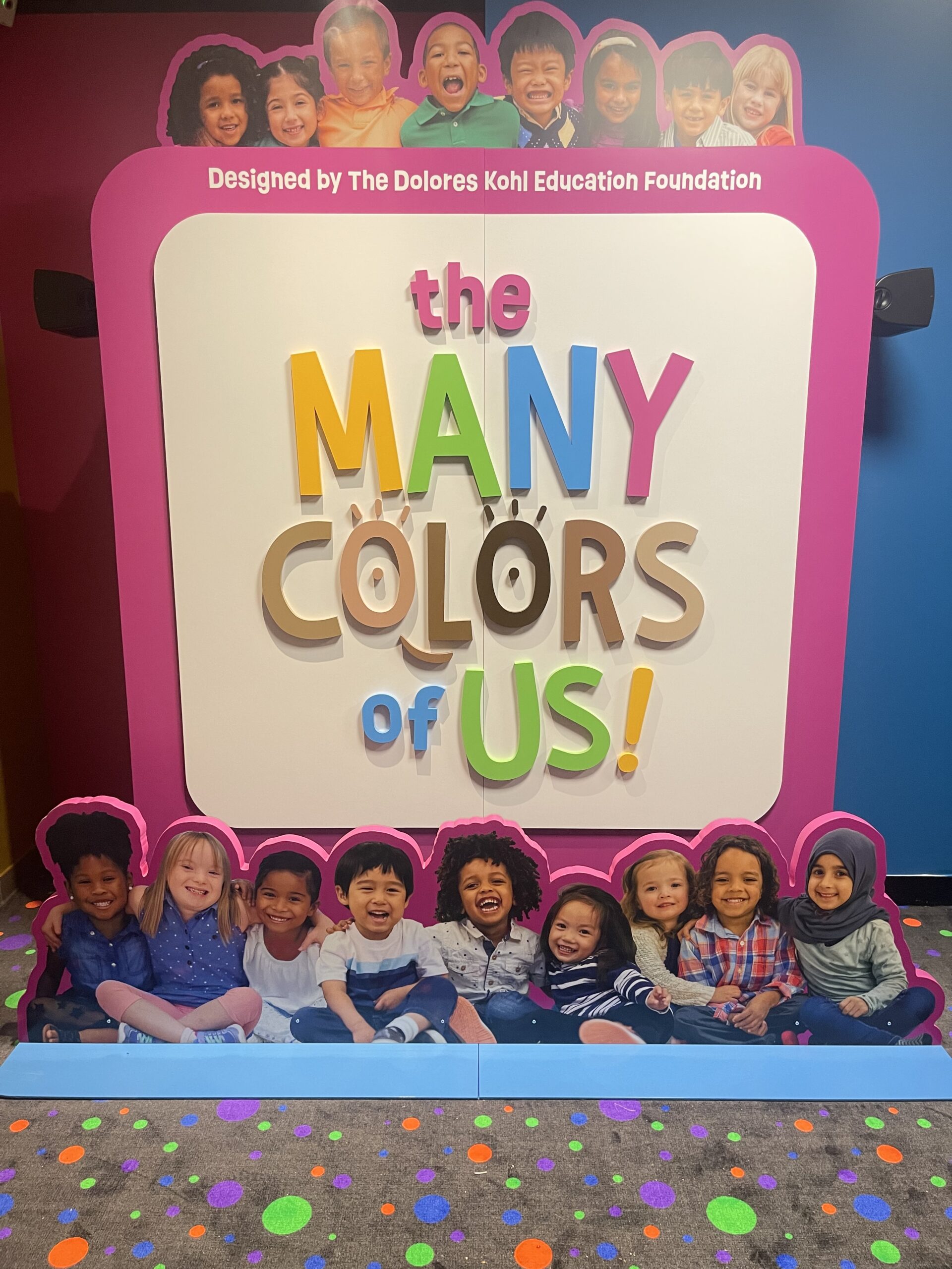 THE MANY COLORS OF US | DuSable Black History Museum and Education Center